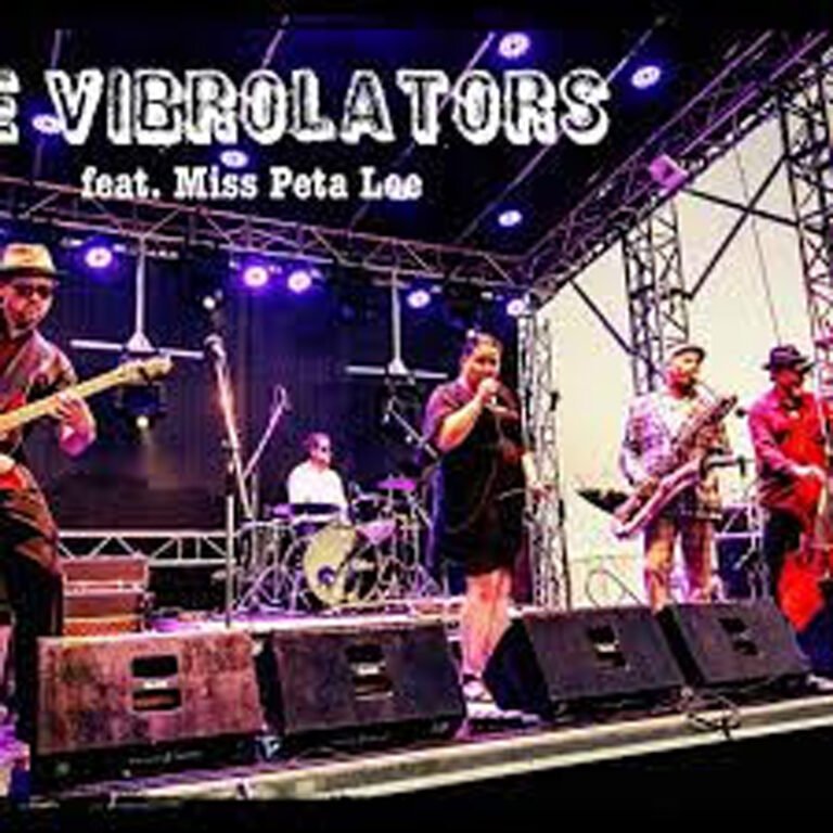 The Vibrolators – Mohawk Music Management